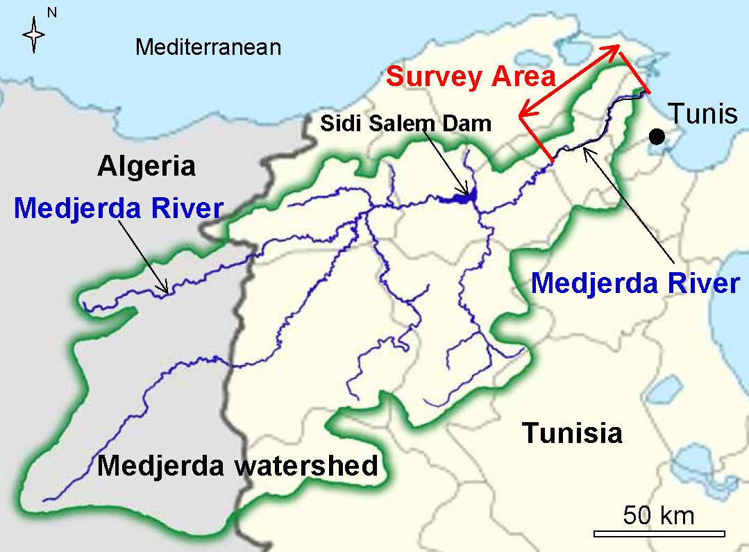 Bassin de l'Oued Mejerda - Protection contre les inondations zone D2 ...